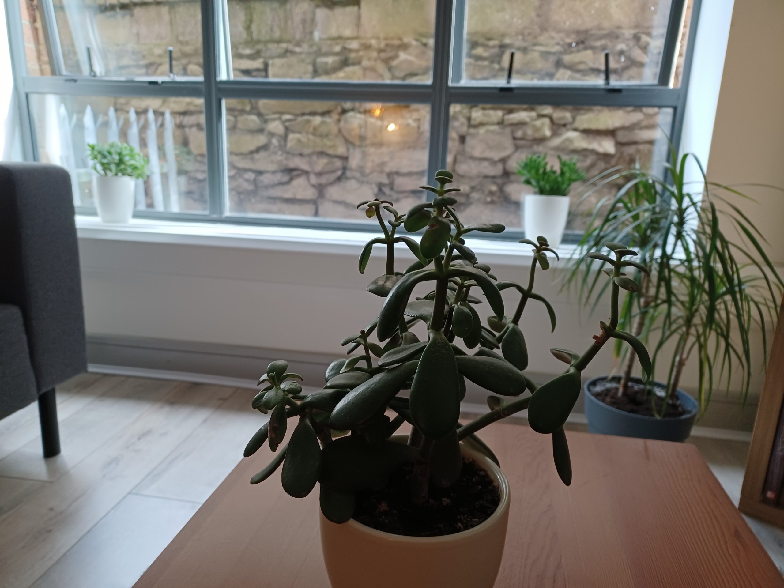 The Therapy Room - Robert Rackley Counselling